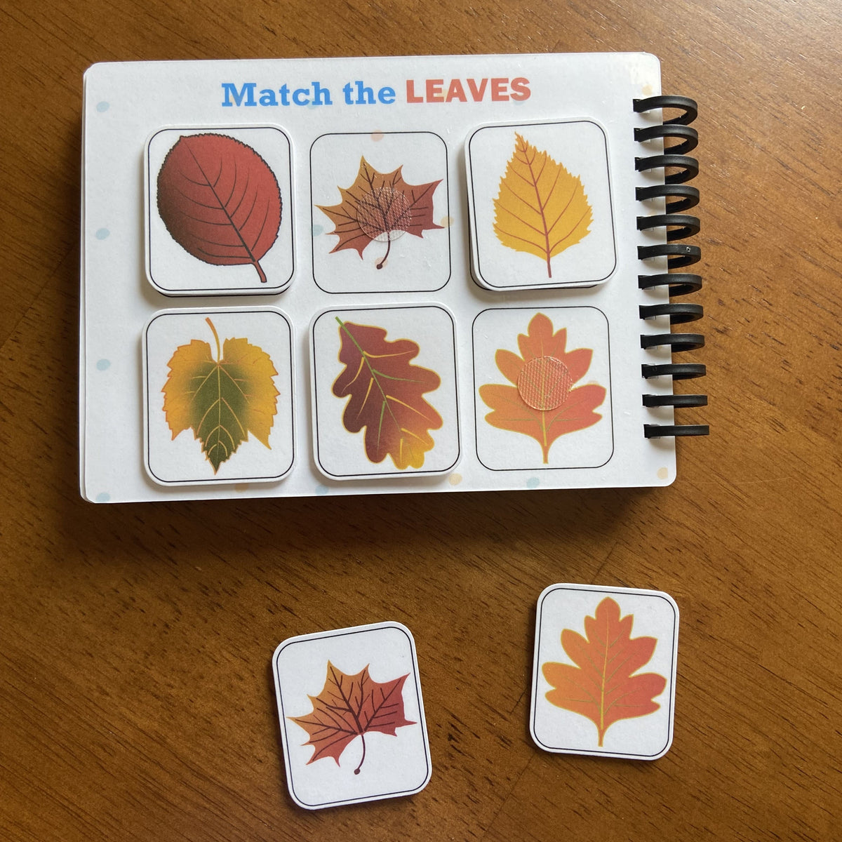 Toddler Mini Busy Book VOL11, Learning Binder – Playingtots