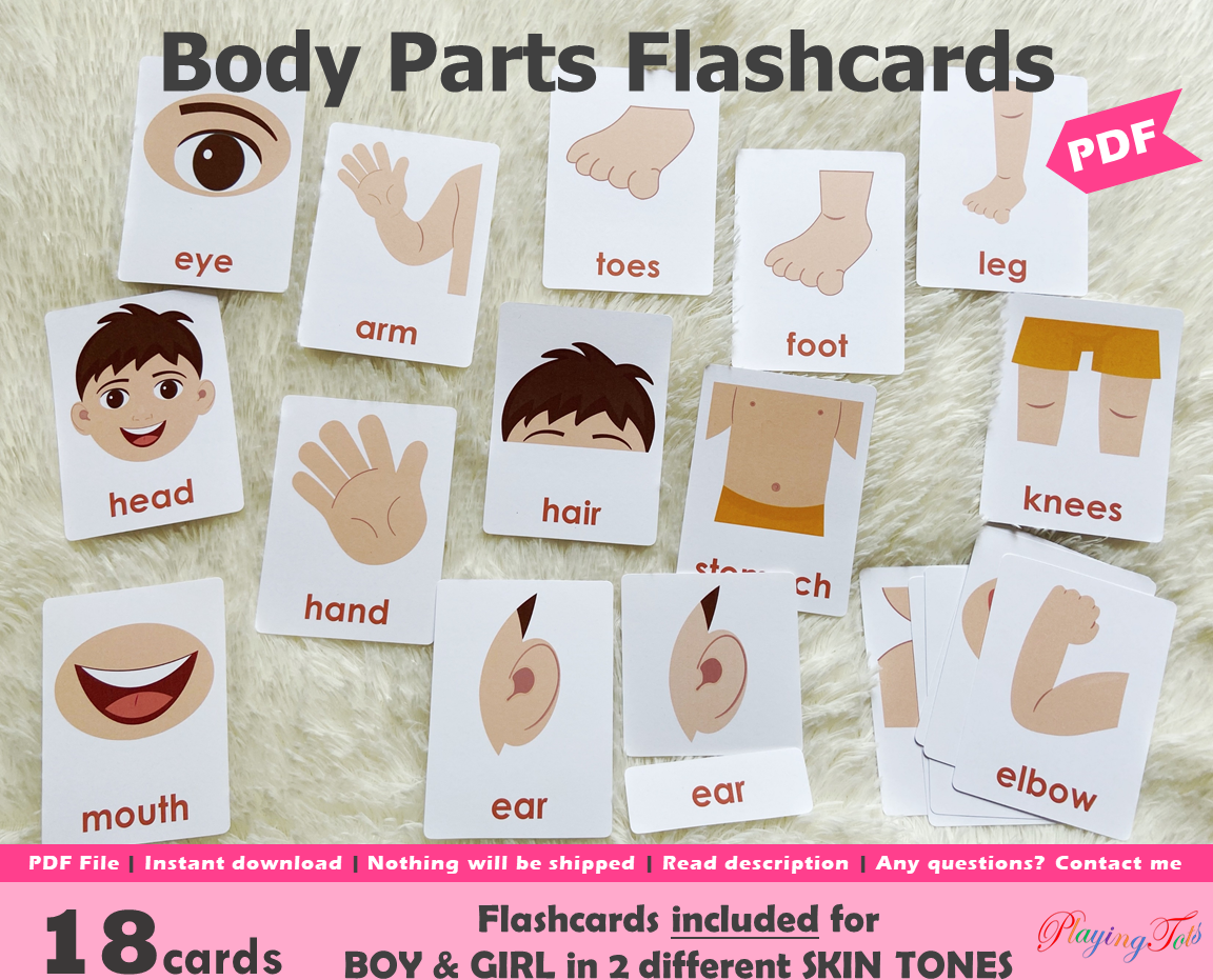 Body Parts Flashcards Real Pictures Cards Montessori 3Part Cards ...