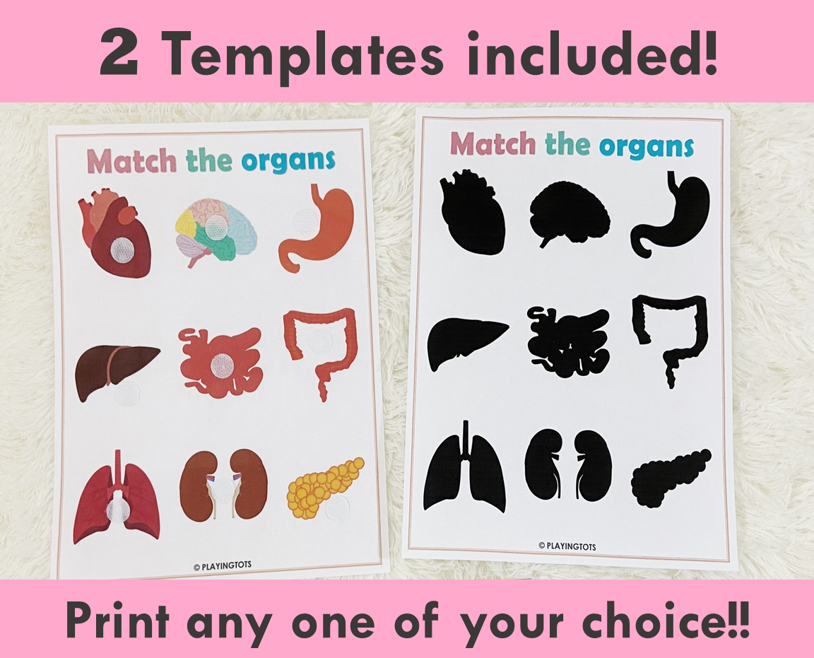 Body Organs Matching Activity – Playingtots