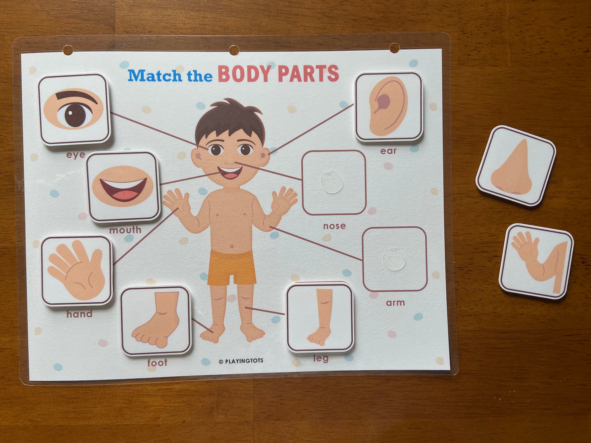 Human Body Parts For Kids Printable
