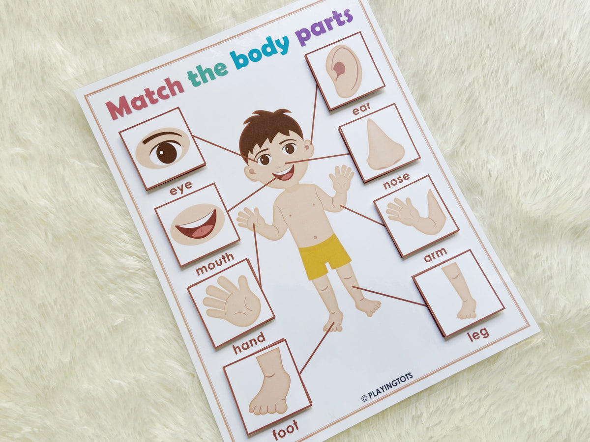 Body Parts Matching Activity – Playingtots