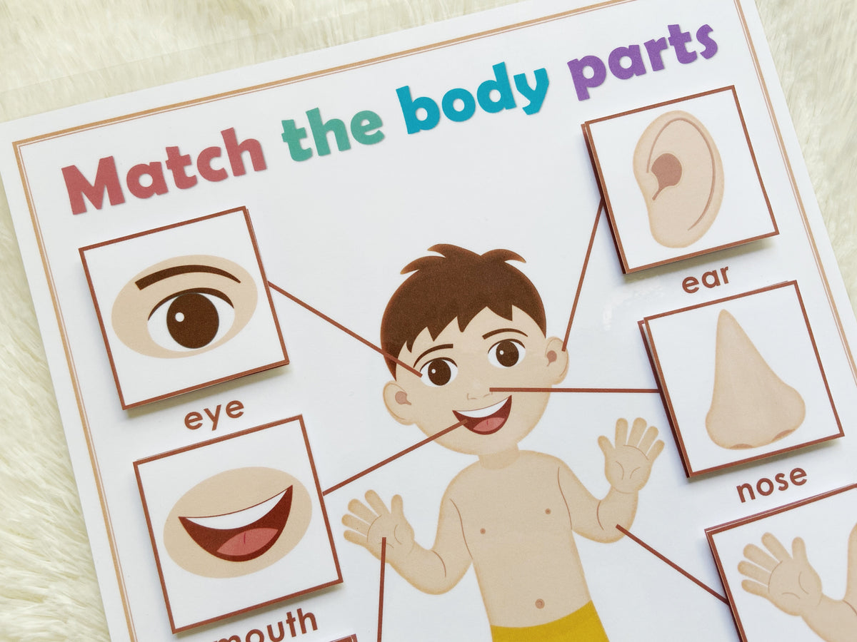 Body Parts Matching Activity – Playingtots