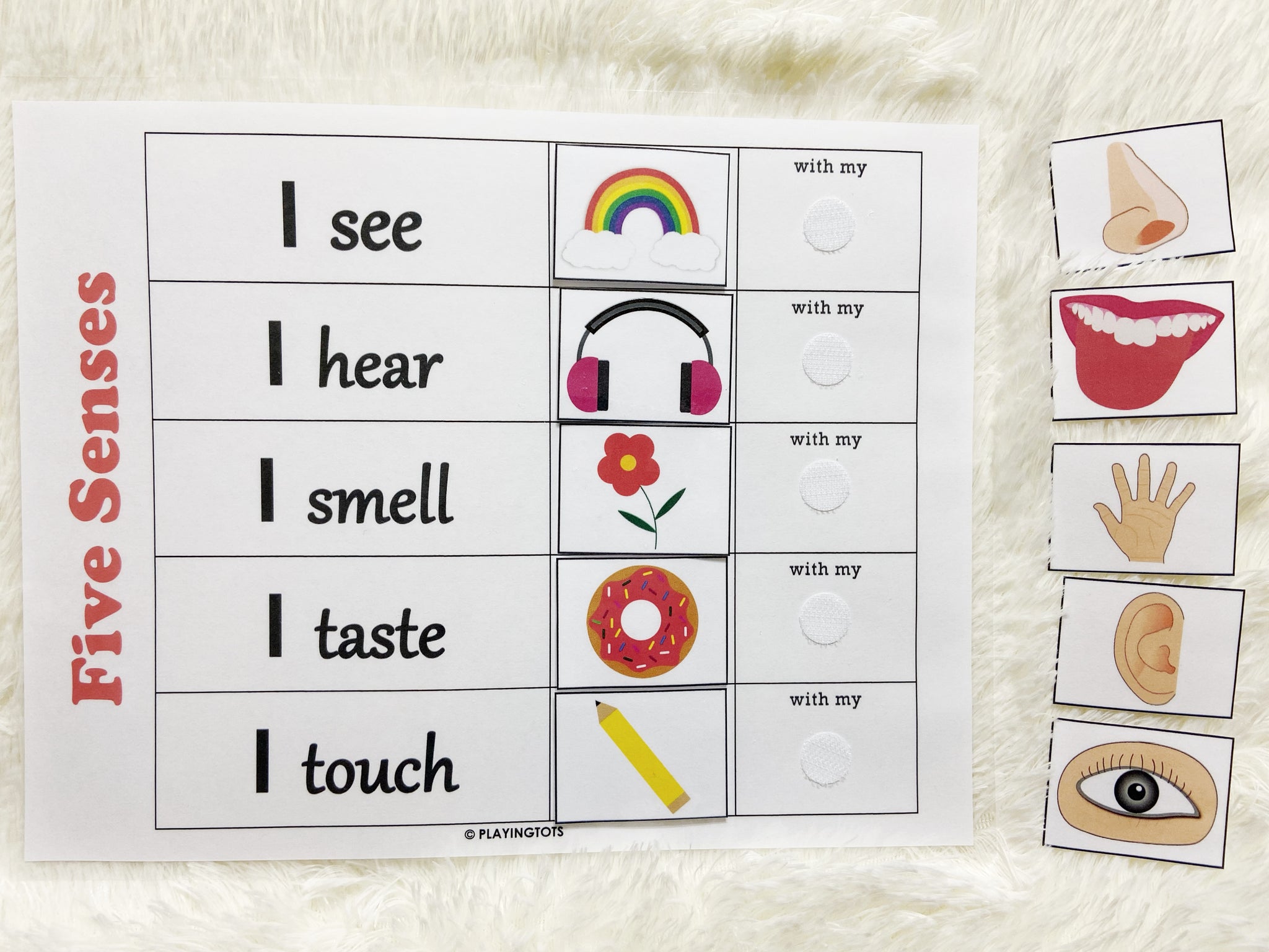 Five Senses Sorting Printable Free