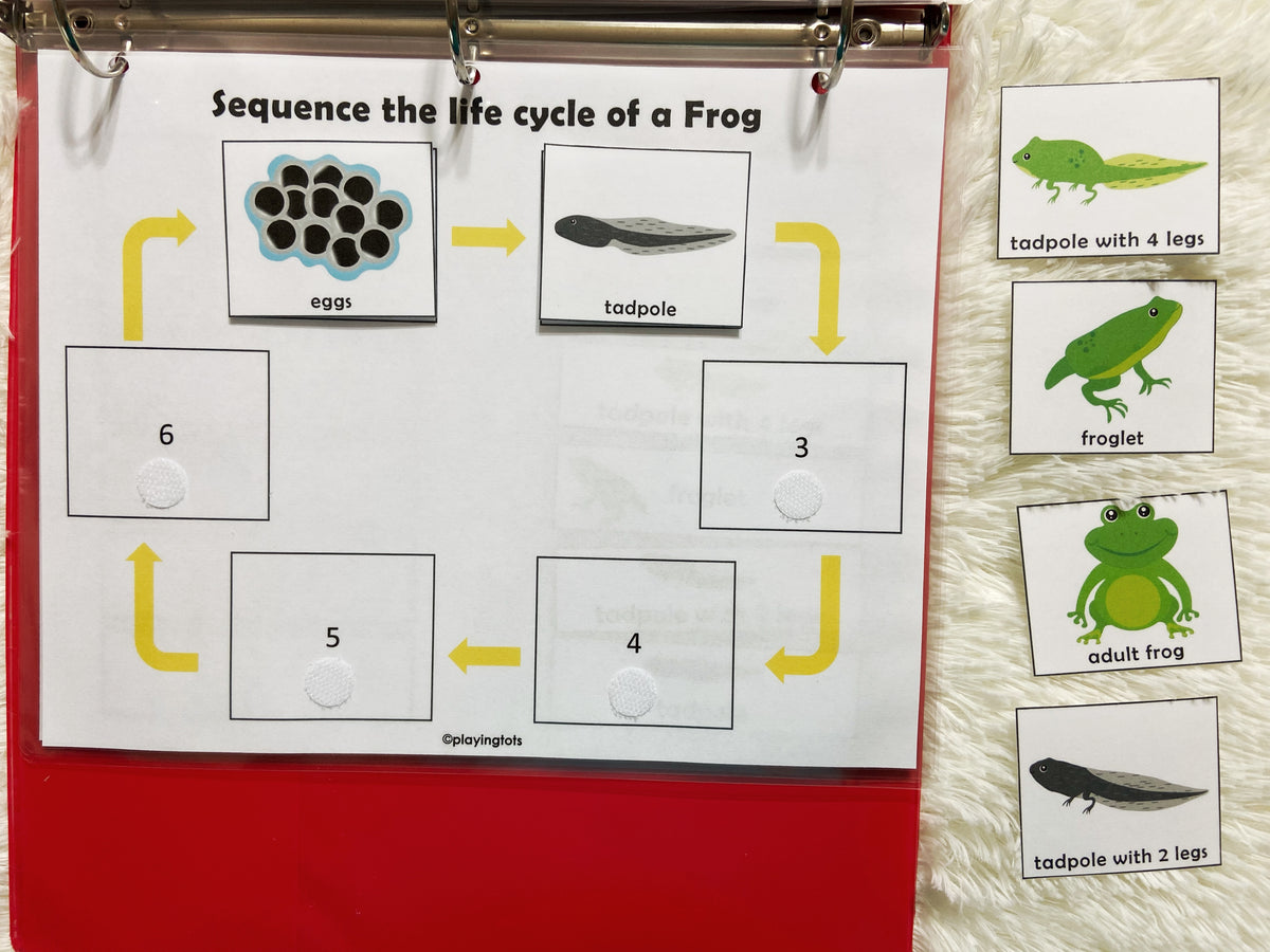 Frog and Butterfly Lifecycle Activities, Montessori 3 Part Cards ...