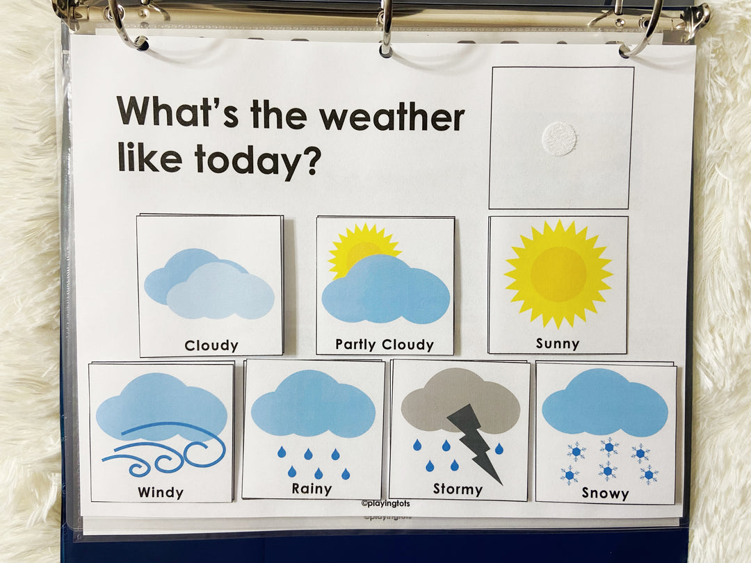 Seasons, Weather, Days of the Week Activity – Playingtots