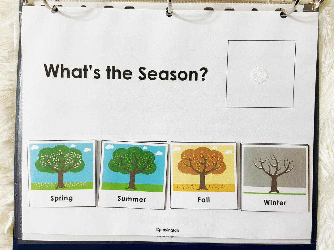Seasons, Weather, Days of the Week Activity – Playingtots